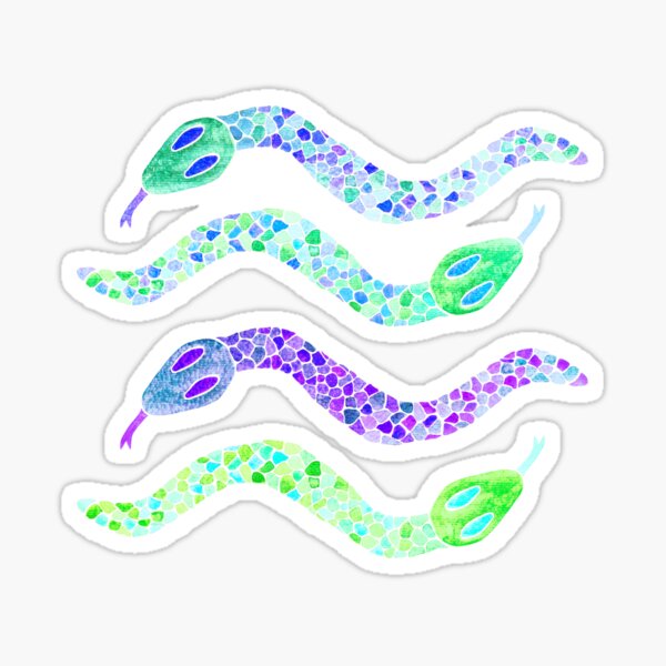 "colorful snakes" Sticker for Sale by nacaca | Redbubble