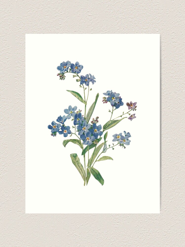"Forget Me Not Design" Art Print for Sale by aestheticqueen | Redbubble