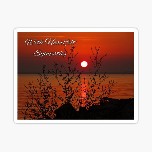 "With Heartfelt Sympathy" Sticker by Barbny | Redbubble