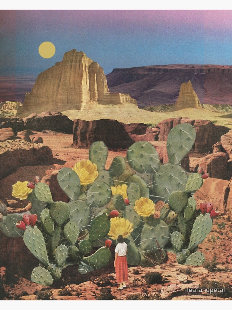 "Cactus Flowers" Poster by leafandpetal | Redbubble