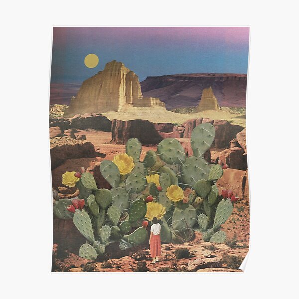 "Cactus Flowers" Poster by leafandpetal | Redbubble
