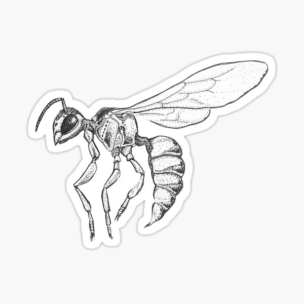 "Wasp" Sticker for Sale by laudanielle | Redbubble