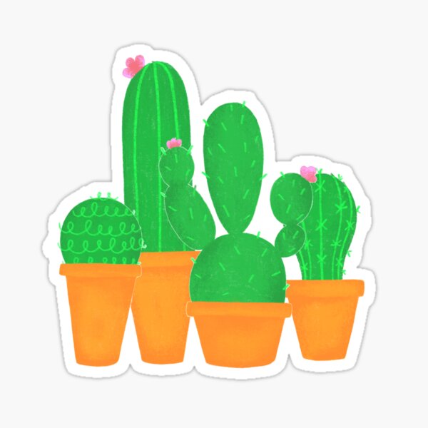 "Cactus Sticker" Sticker for Sale by sashamunro | Redbubble