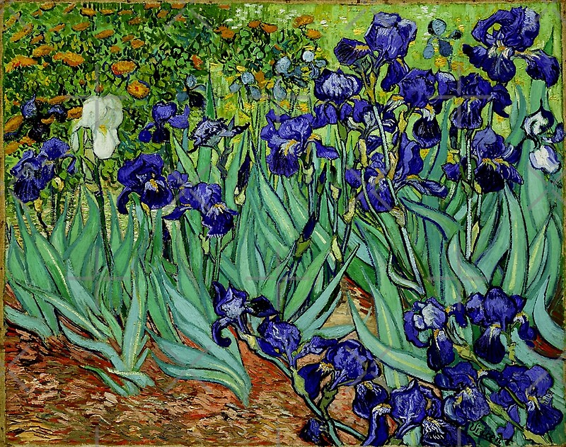 "Vincent Van Gogh Purple Irises at St. Remy" by PixDezines | Redbubble