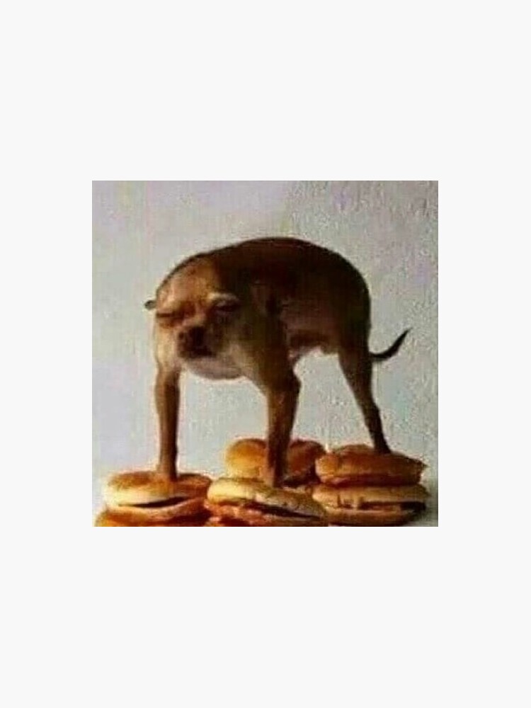 "Cursed dog" Sticker for Sale by LilQuack | Redbubble