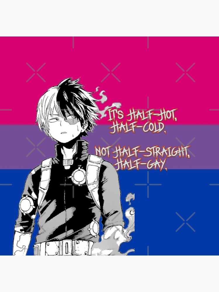 "My Hero Academia Todoroki Bisexual Pride Flag" Sticker by queerwriter ...
