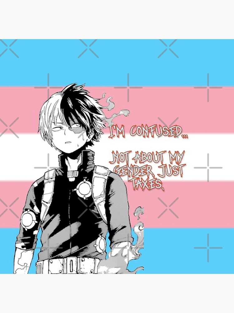 "My Hero Academia Todoroki Transgender Pride Flag" Sticker by ...