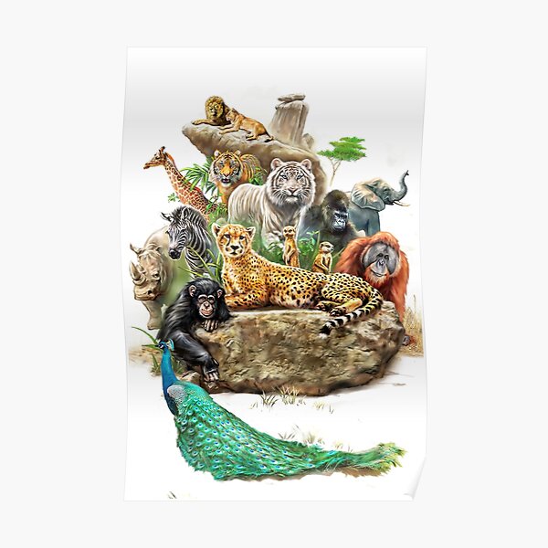 "Zoo Animals Animals Design" Posterundefined by Trenddesigns24 | Redbubble