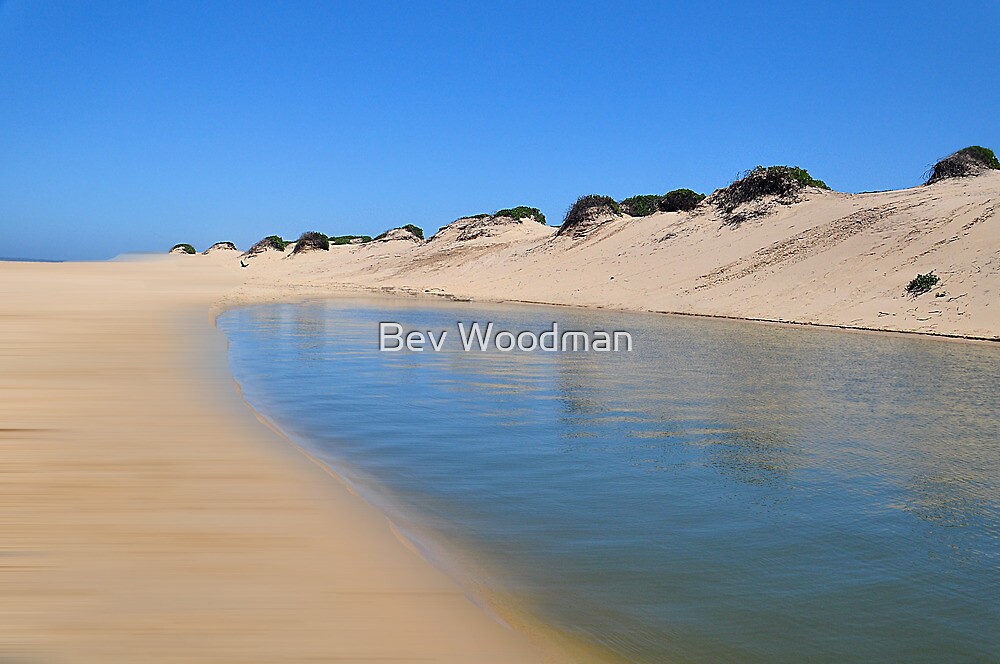 Redhead Beach Lagoon Nsw Australia By Bev Woodman Redbubble