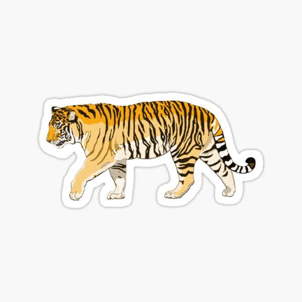 Tiger Stickers | Redbubble