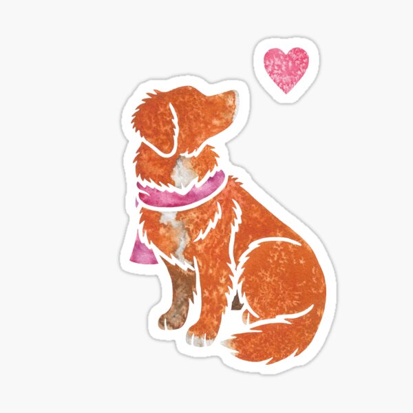 "Watercolour Toller 2" Sticker for Sale by animalartbyjess | Redbubble
