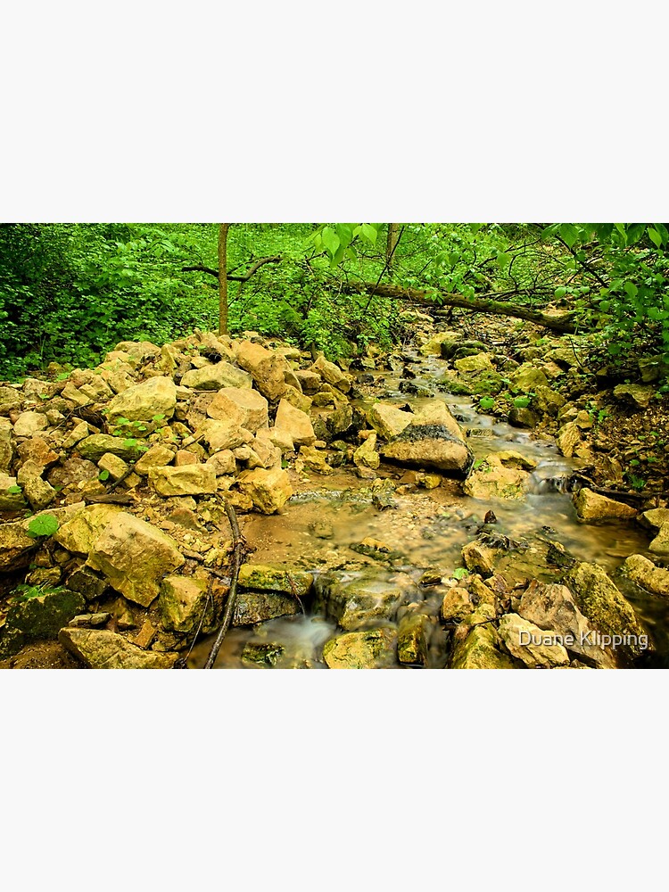 "Trickling Brook" Poster for Sale by Duane Klipping | Redbubble