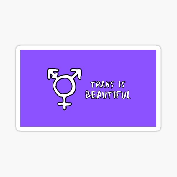 "Trans Is Beautiful Sticker (Indigo)" Sticker by genderpunksap | Redbubble