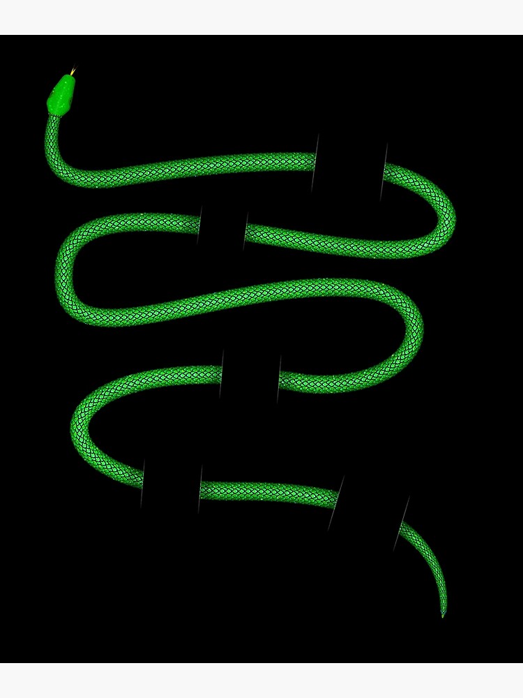 "Snake Lover 3D - Green Tree Pythons" Poster for Sale by marsthemonkey ...