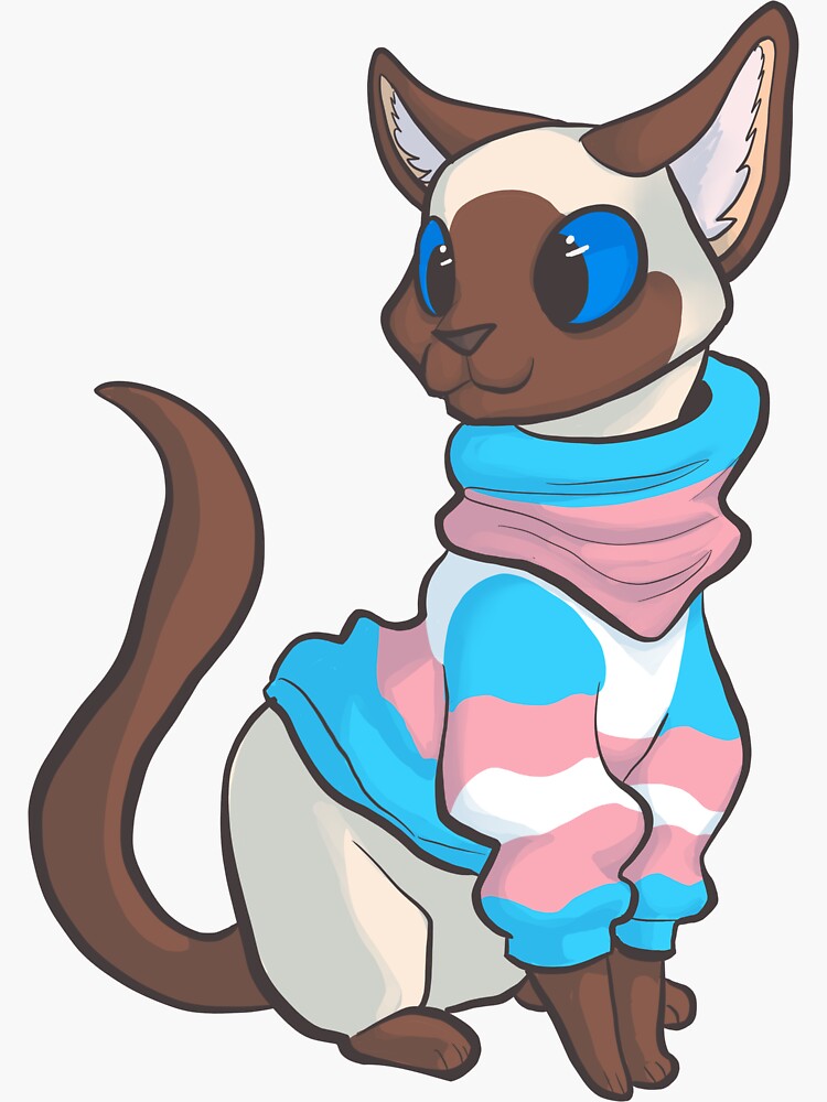 "Transgender Pride Cat" Sticker by FishboneKitten | Redbubble