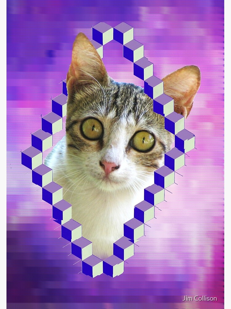 "LSD CAT" Art Print by rtcomics | Redbubble