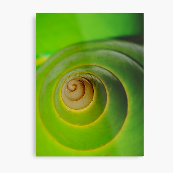 Manus Island Gifts & Merchandise | Redbubble