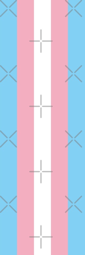 "TRANSGENDER FLAG (ALT ANGLE) - PALE BLUE, WHITE AND PINK TRANSGENDER ...
