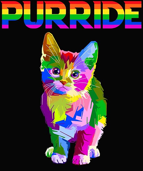 Gay Pride Cat Kitten Shirts For Women Men Purride Lgbt Cat T