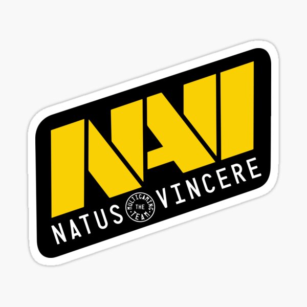 Navi Csgo Stickers | Redbubble