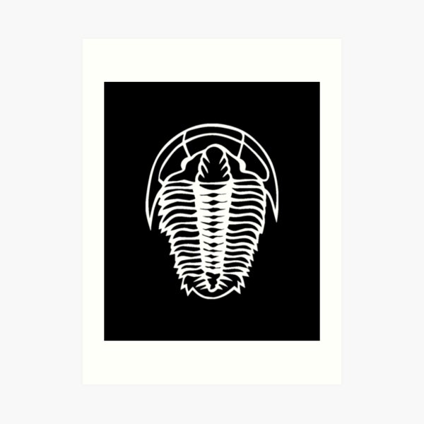 Trilobite Art Prints | Redbubble