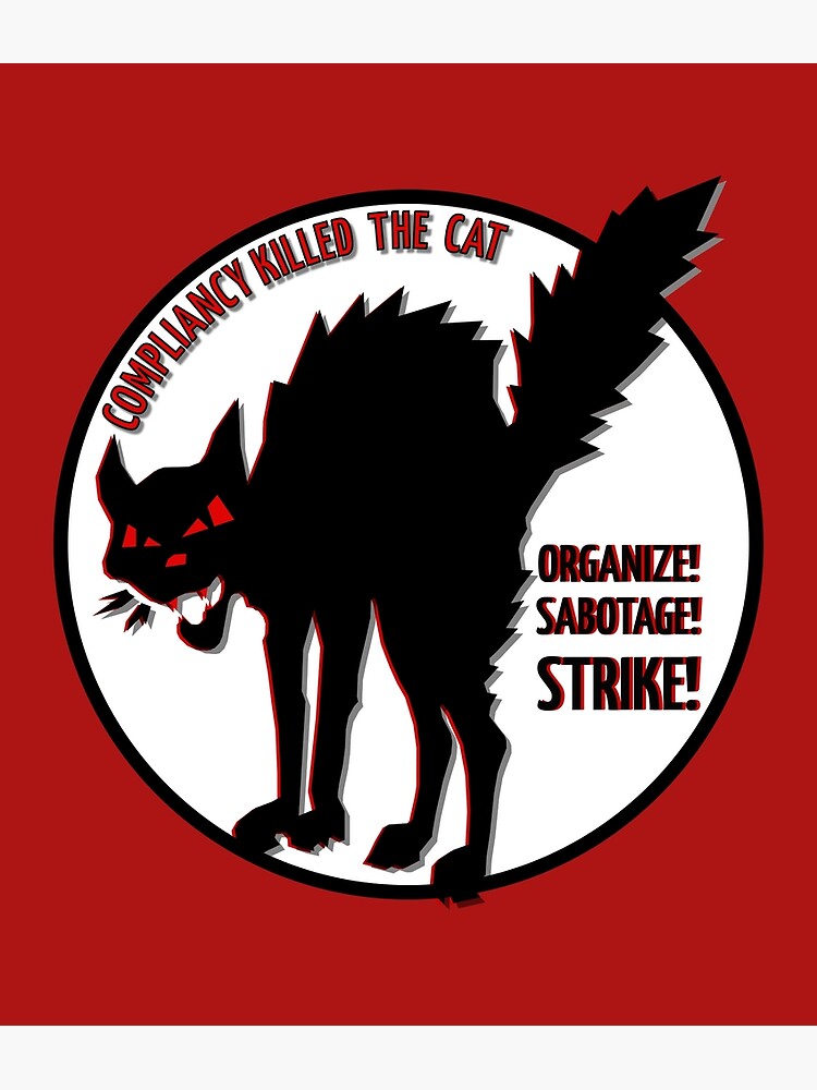 "Sab Cat -COMPLIANCY KILLED THE CAT" Poster for Sale by AntiCommodities ...