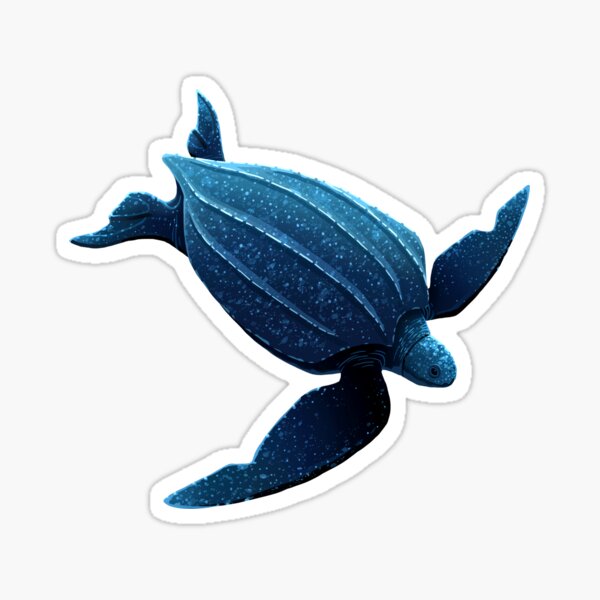 "Leatherback Sea Turtle" Sticker for Sale by Tami Wicinas | Redbubble