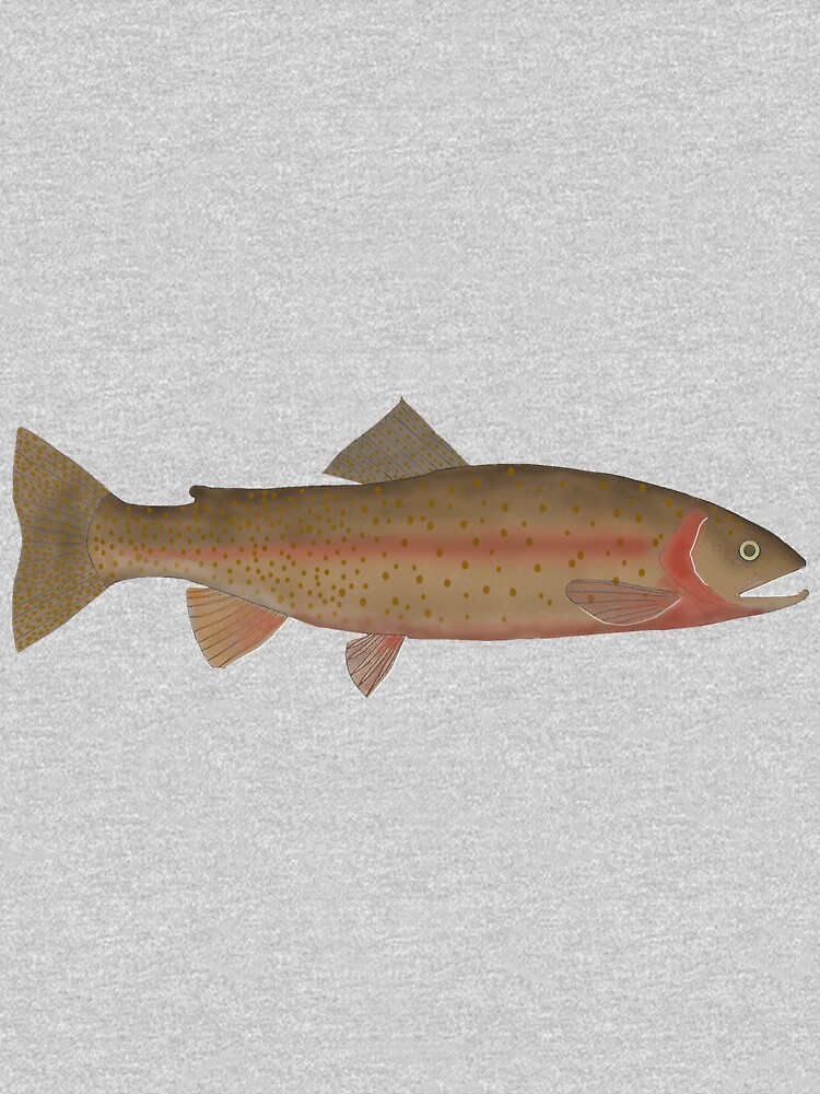 "Cutthroat Trout" Pullover Hoodie for Sale by fishfolkart | Redbubble