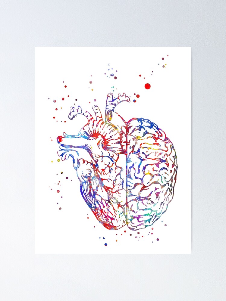 "Brain and heart, brain anatomy, heart, heart anatomy, medical art ...