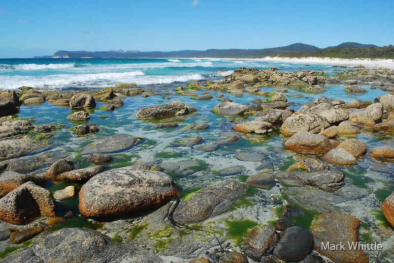 "Rock-pools at Friendly Beaches" by Mark Whittle | Redbubble