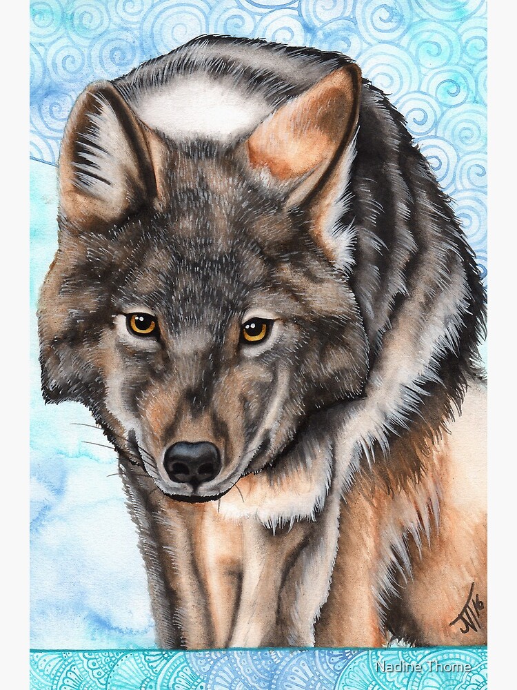 "Red Wolf" Art Print for Sale by nadinethome | Redbubble