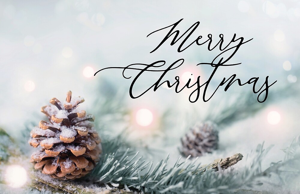 "Pine Cone Merry Christmas" by FinnBear | Redbubble