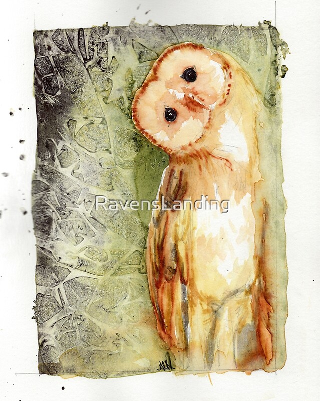 "Barn Owl is Quizzical" by RavensLanding | Redbubble