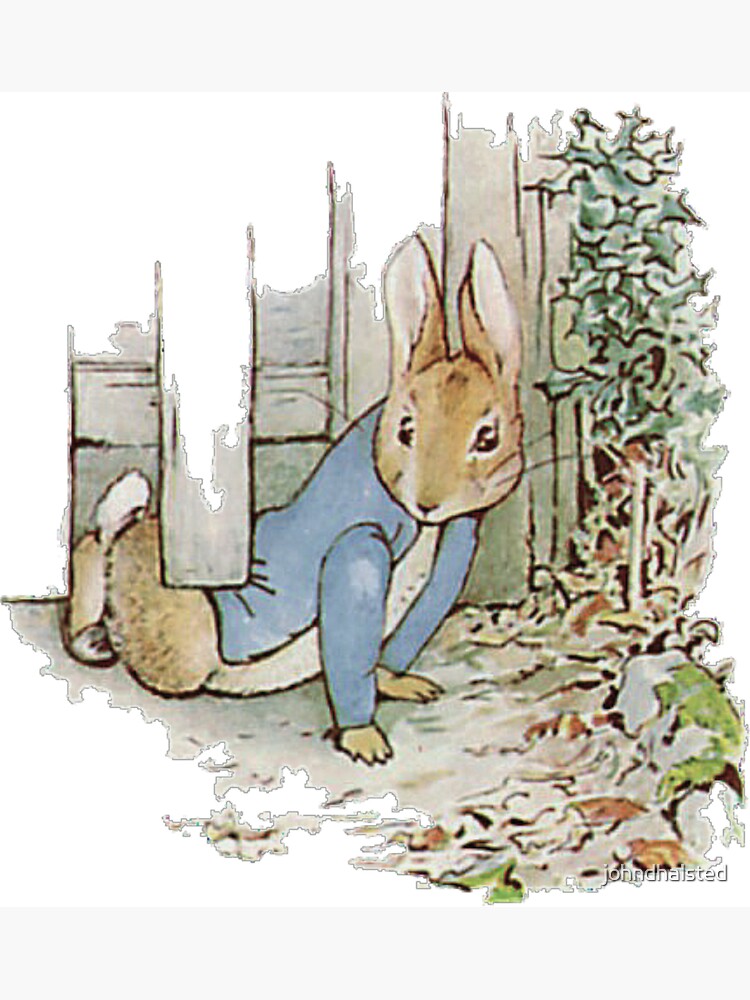 "PETER RABBIT SQUEEZED UNDER MR McGREGORS GATE" Sticker for Sale by ...
