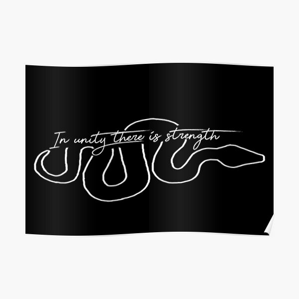 Unity Is Strength Posters | Redbubble