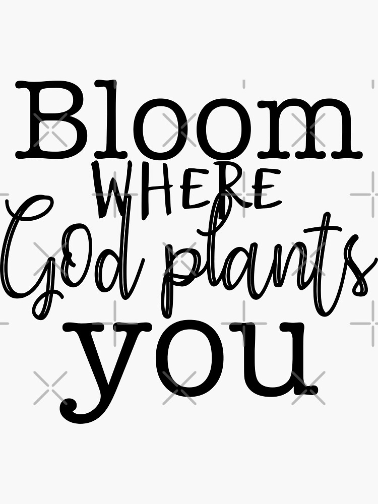 "Bloom where God plants you design " Sticker for Sale by Lupappdesigns ...