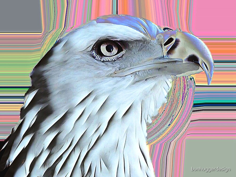 "Metal Beak" by bunhuggerdesign | Redbubble