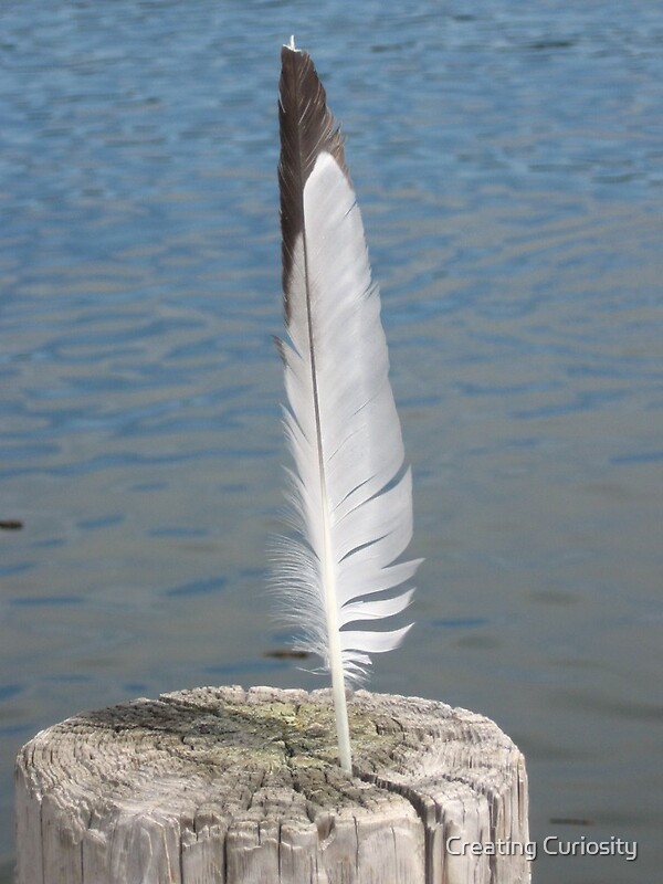 "Feather Post - Original" by LURKERLAINE | Redbubble