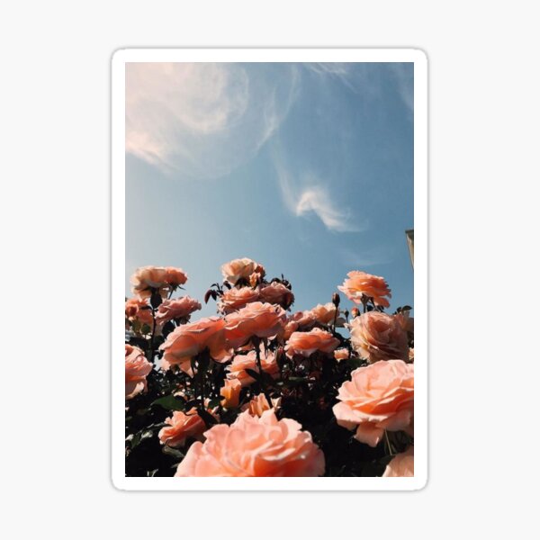 "Coral Flowers" Sticker for Sale by starrily | Redbubble