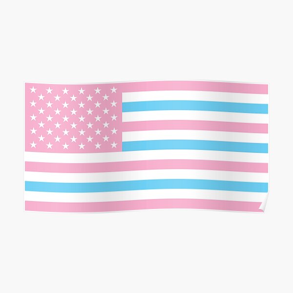 "TRANSGENDER USA FLAG - PALE BLUE, WHITE AND PINK TRANSGENDER FLAG ...