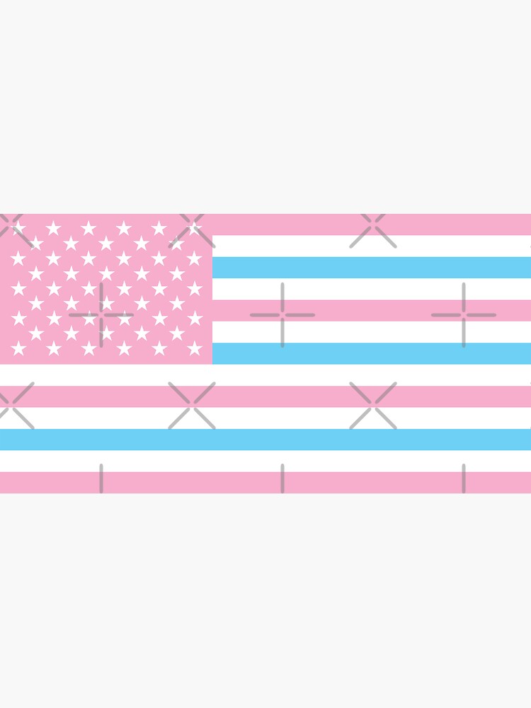 "TRANSGENDER USA FLAG - PALE BLUE, WHITE AND PINK TRANSGENDER FLAG ...