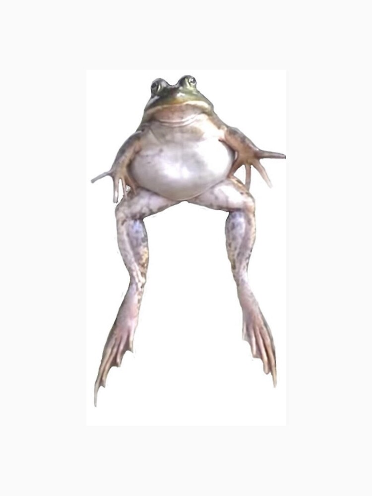 "PHROG MEME" T-shirt for Sale by Mikeh5401 | Redbubble | phrog t-shirts ...