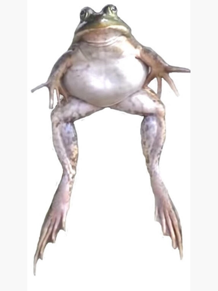 "PHROG MEME" Sticker for Sale by Mikeh5401 | Redbubble