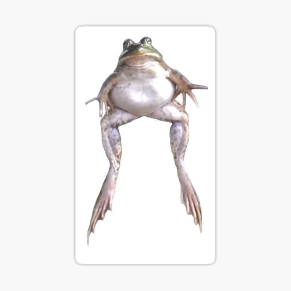 "PHROG MEME" Sticker for Sale by Mikeh5401 | Redbubble