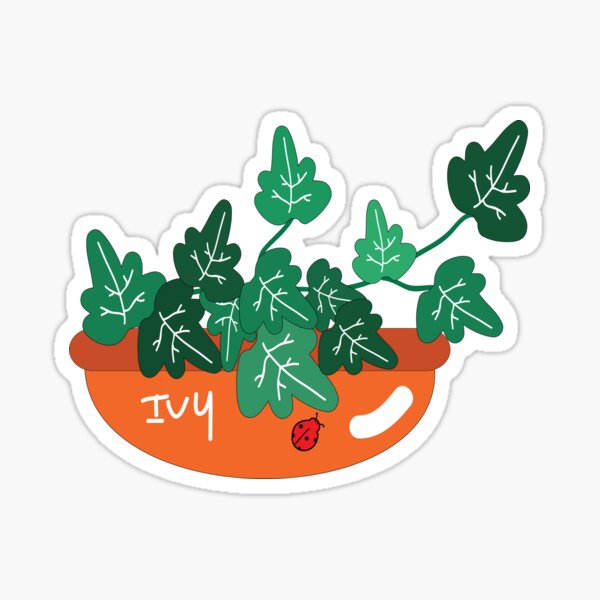 "IVY" Sticker for Sale by cheeckymonkey | Redbubble