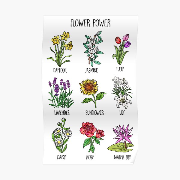 "Botanical Flower Chart " Poster for Sale by SuperrSunday | Redbubble