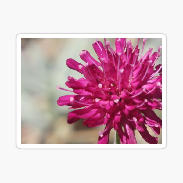 Bombastic Gifts & Merchandise for Sale | Redbubble