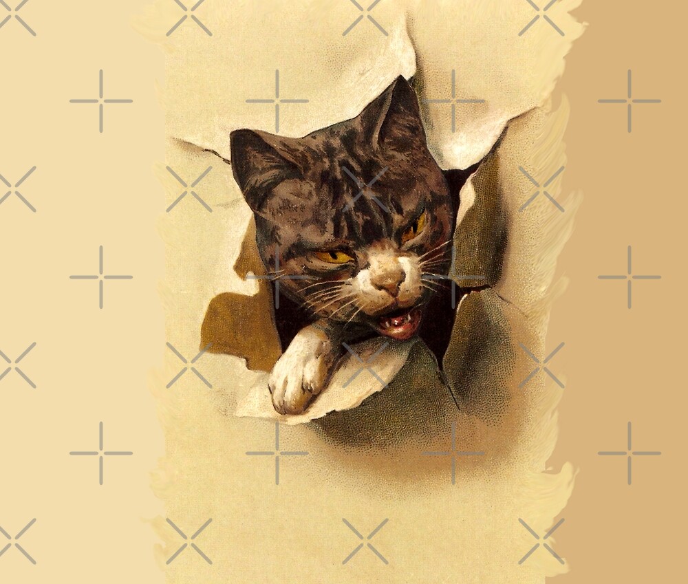 "CAT COMING OUT FROM RIPPED PAPER Funny Cat Portraits" by BulganLumini ...