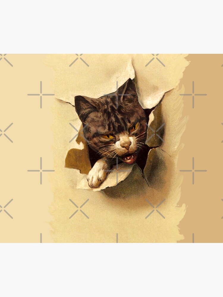 "CAT COMING OUT FROM RIPPED PAPER Funny Cat Portraits" Sticker by ...