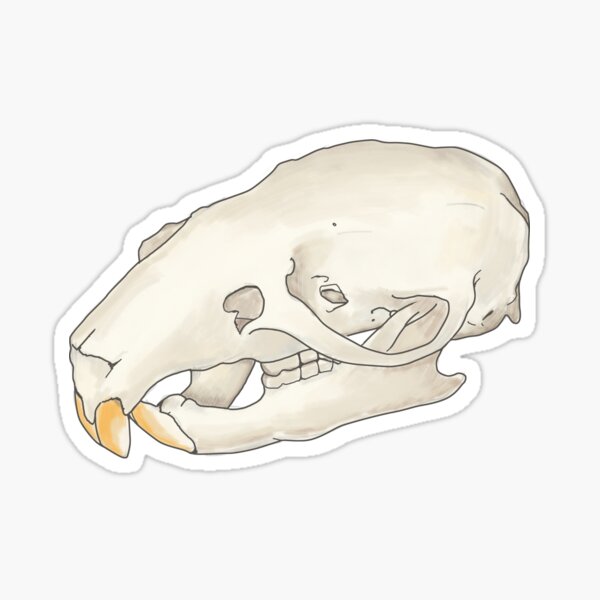 "Mouse skull" Sticker by gbfulford | Redbubble